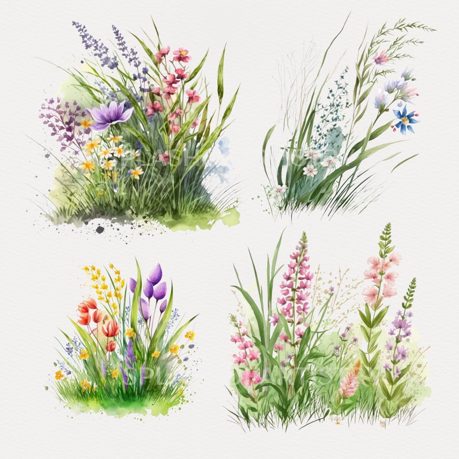 Meadow Flowers Watercolor Clipart Craft Floral Grass Digital Download ...