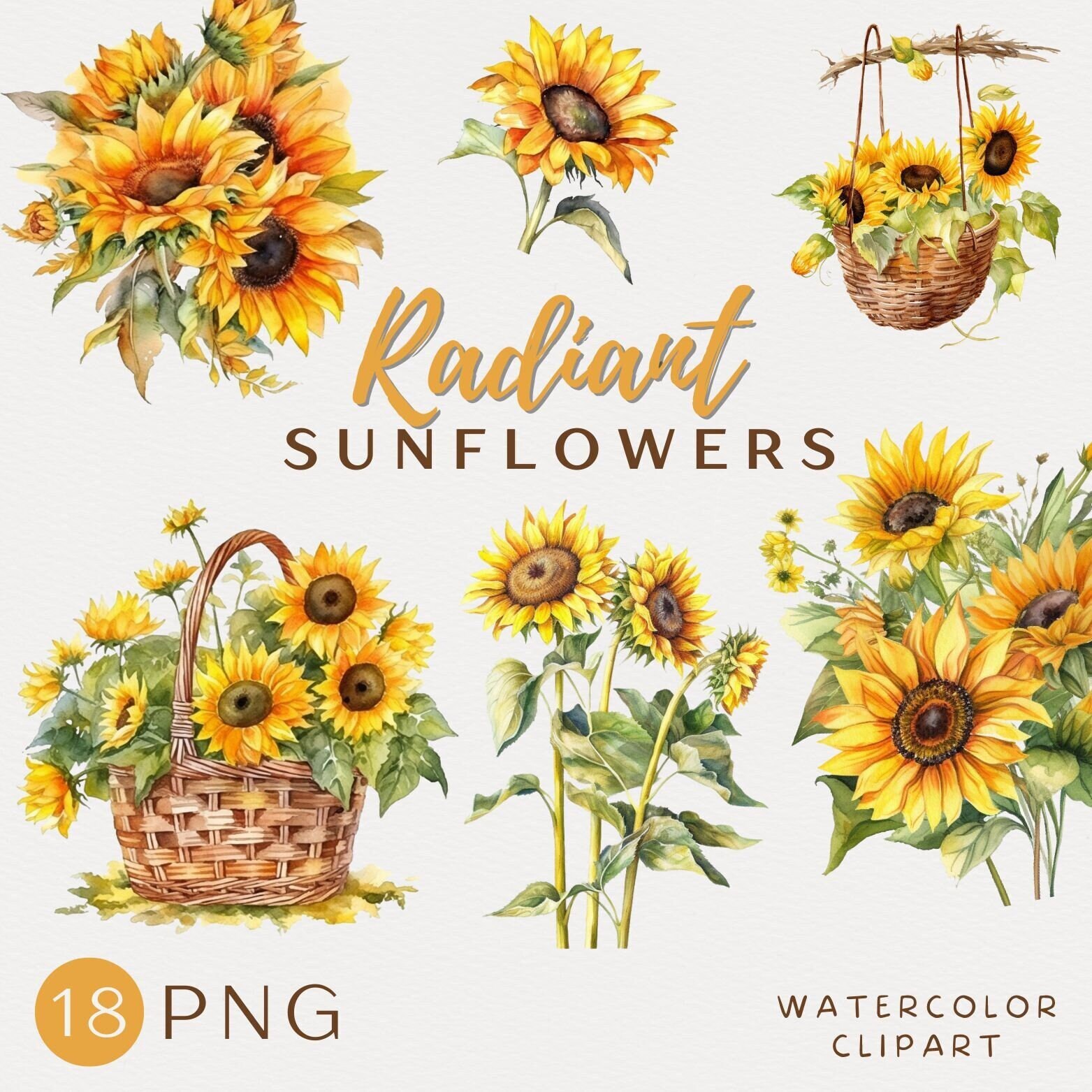 Sunflower Watercolor Clipart Yellow Flowers Card Making Sunflowers ...