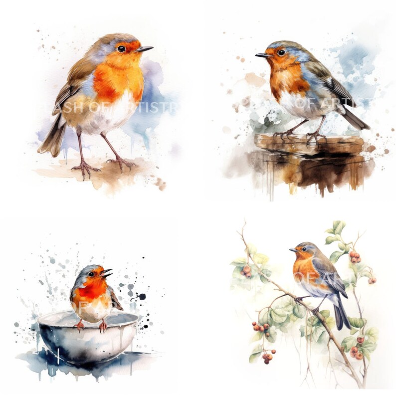 Robin Watercolor Clipart Robin Painting Crafts Robin Art Card Robin ...