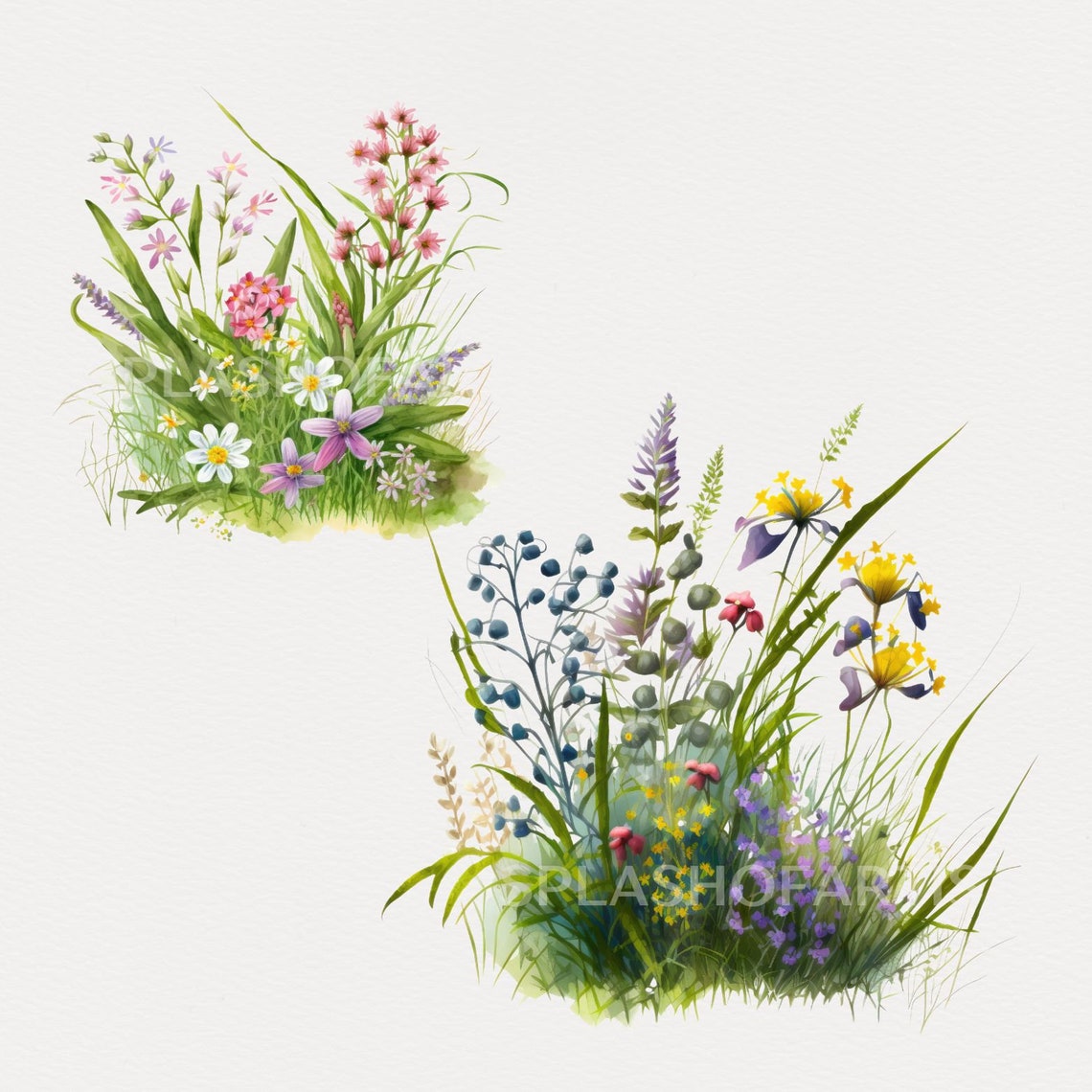 Meadow Flowers Watercolor Clipart Craft Floral Grass Digital - Etsy