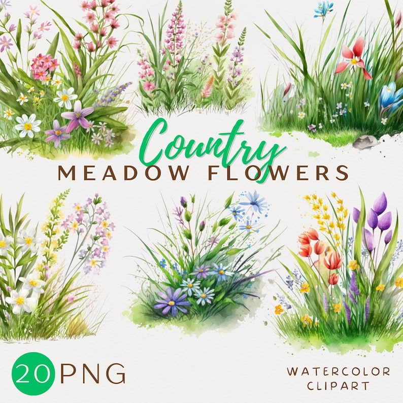 Meadow Flowers Watercolor Clipart Craft Floral Grass Digital Download ...
