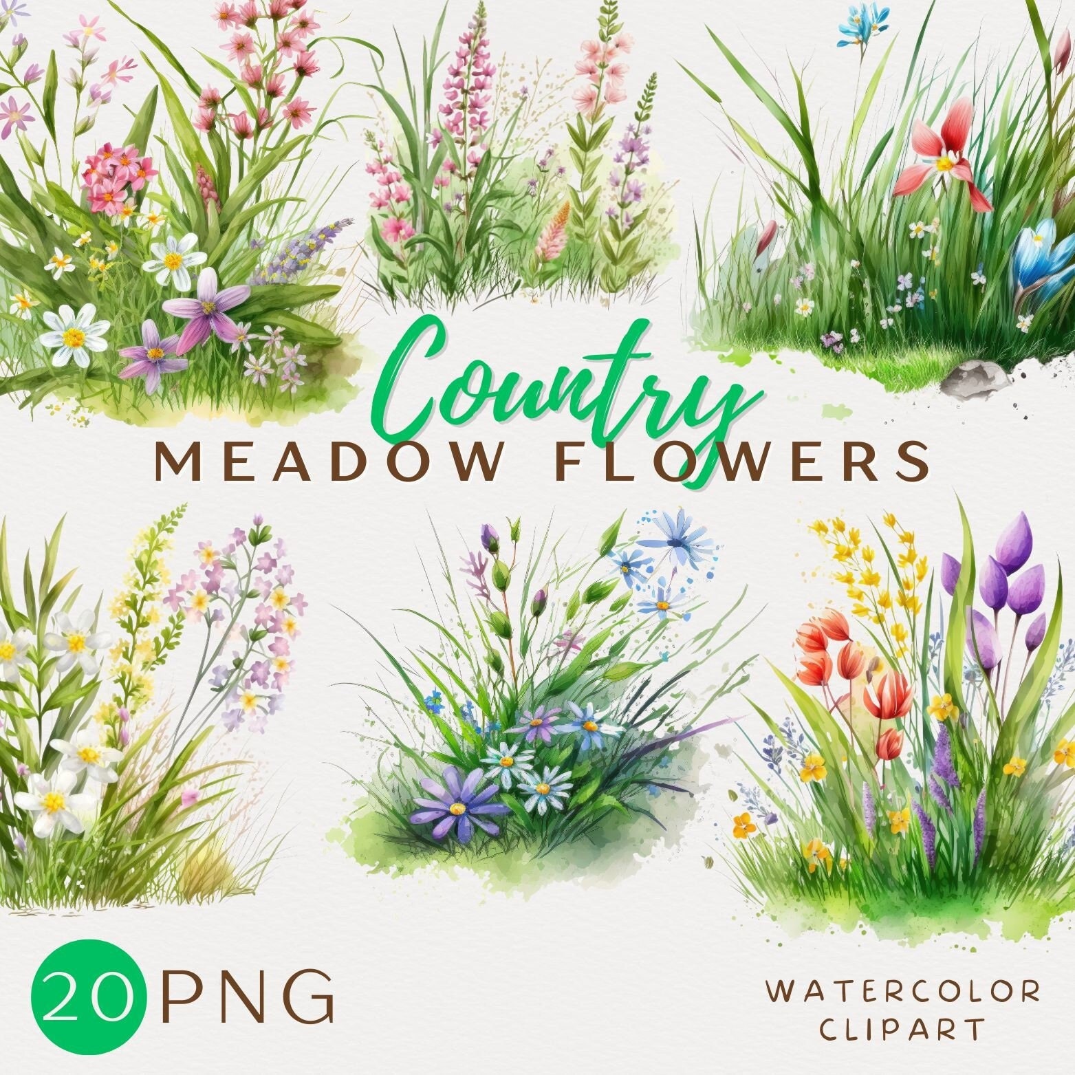 Meadow Flowers Watercolor Clipart Craft Floral Grass Digital Download ...