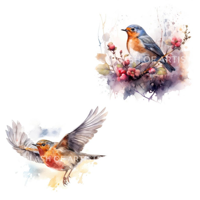 Rotkehlchen Aquarell Clipart Rotkehlchen Malerei Handwerk Rotkehlchen ...