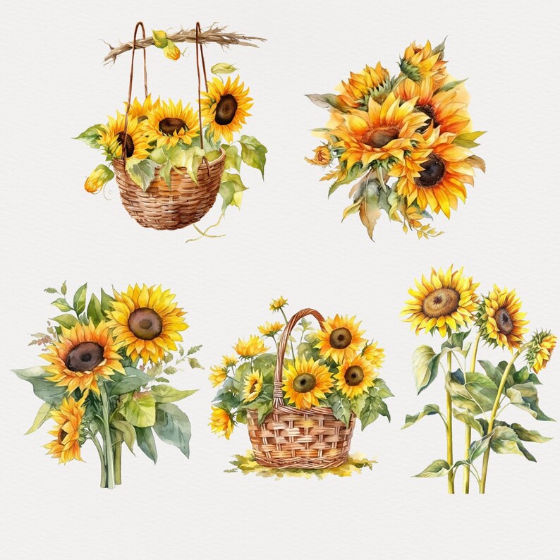 Sunflower Watercolor Clipart Yellow Flowers Card Making Sunflowers ...