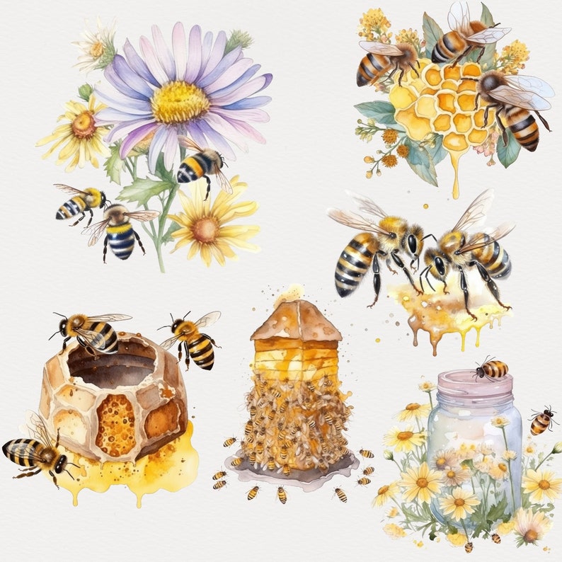 Spring Honey Bee Watercolor Clipart Honeycomb Hive - Etsy