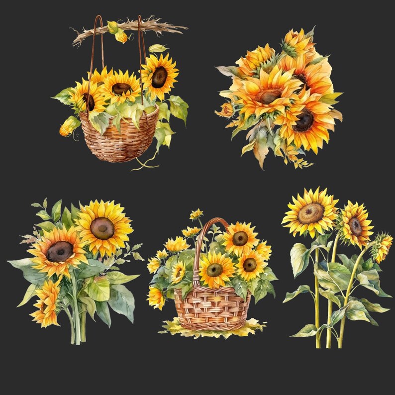 Sunflower Watercolor Clipart Yellow Flowers Card Making Sunflowers ...