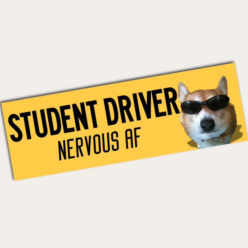 Student Driver Sticker - Etsy