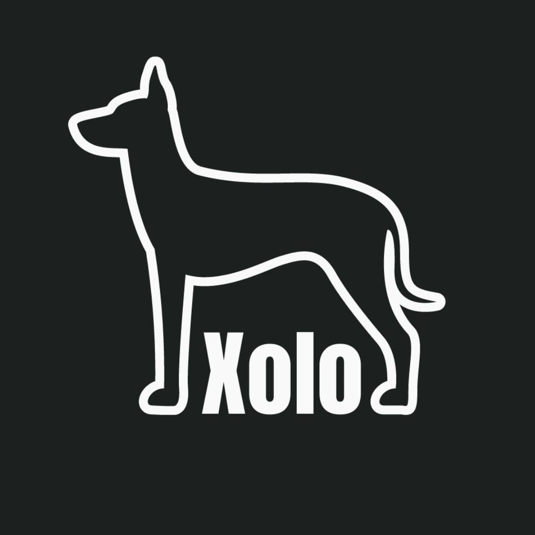 Xolo Dog Car Decal | Car Sticker | Vinyl Decal | Xolo Car Sticker ...
