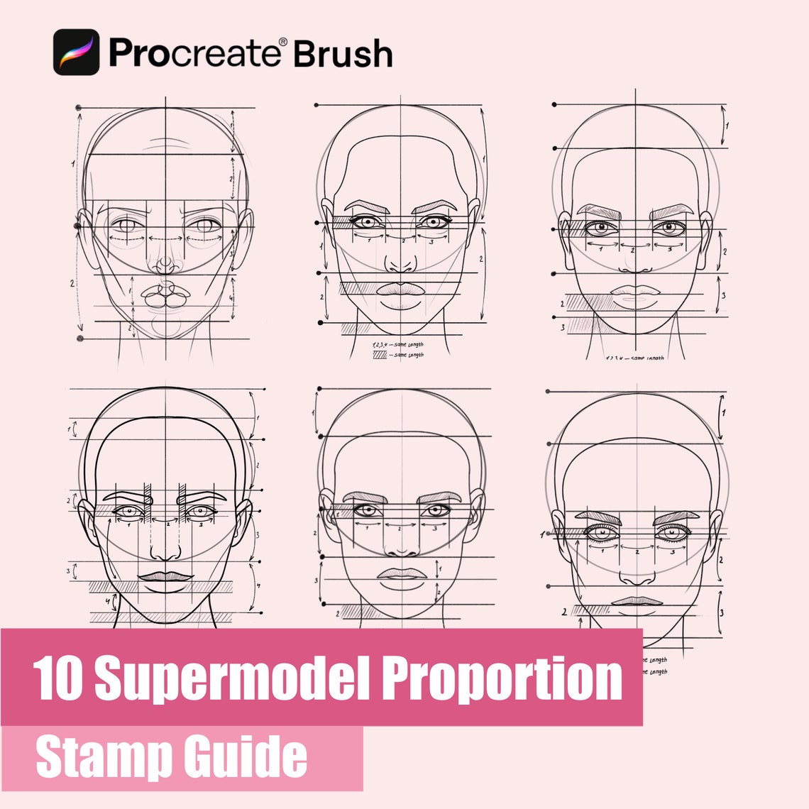 143 Procreate Heads Guide Brushes Stamps | Portrait Sketch Guide Stamps ...