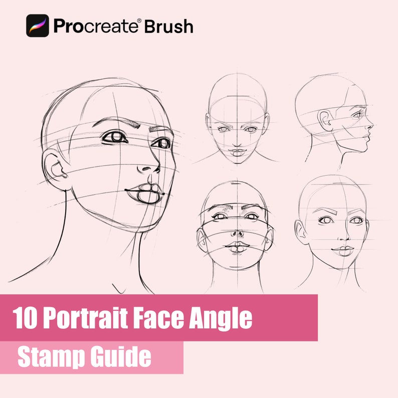 143 Procreate Heads Guide Brushes Stamps | Portrait Sketch Guide Stamps ...