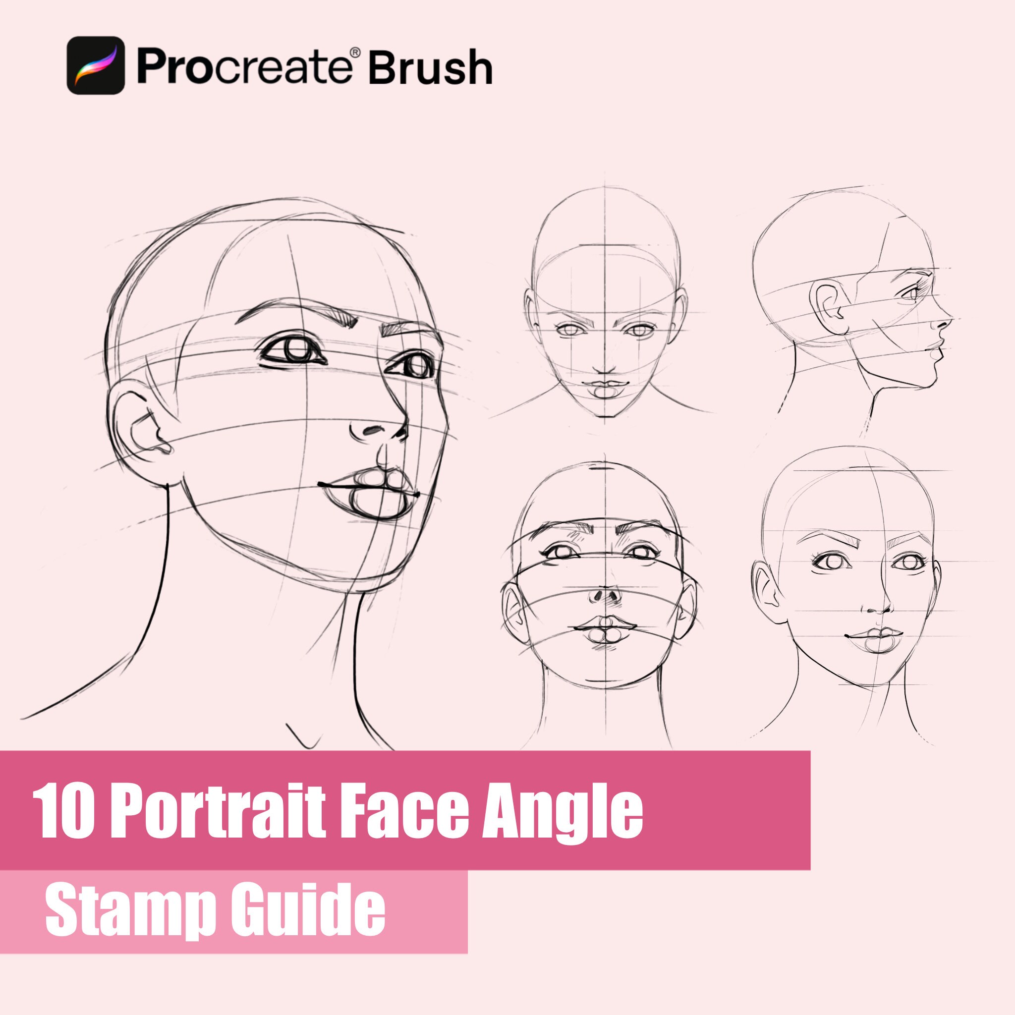 143 Procreate Heads Guide Brushes Stamps | Portrait Sketch Guide Stamps ...