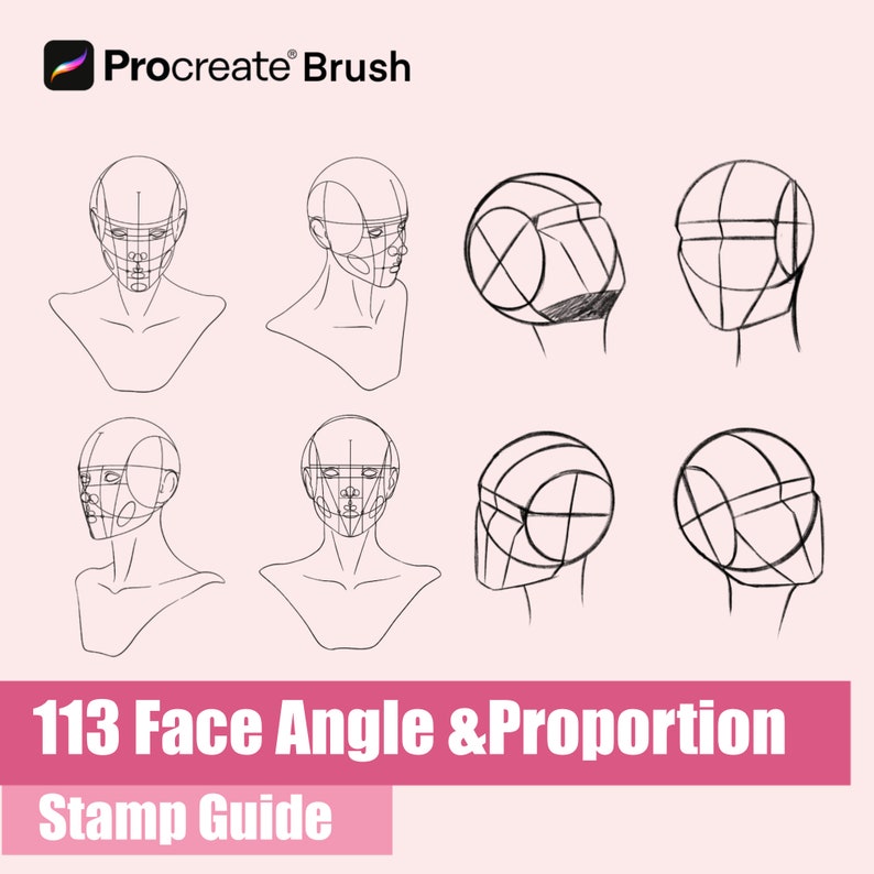 143 Procreate Heads Guide Brushes Stamps | Portrait Sketch Guide Stamps ...