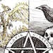5 Birds| Alchemy Original Art Print | Pen on Paper Illustration - Etsy