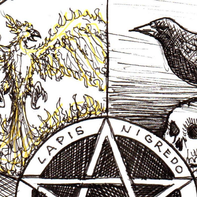 5 Birds Alchemy Original Art Print Pen on Paper Illustration - Etsy