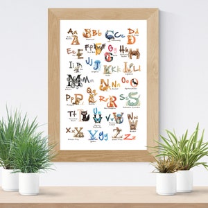 Australian Animals Alphabet Poster | Kids ABC Poster, A-Z Animal ...