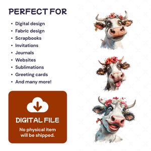 Quirky Cow Clipart, Cute Watercolor Funny Farm Animal PNG, Adorable ...