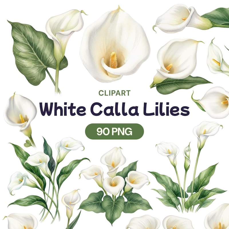 Calla Lily Stickers - Etsy