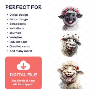 Quirky Sheep Clipart, Cute Watercolor Funny Farm Lamb PNG, Adorable ...