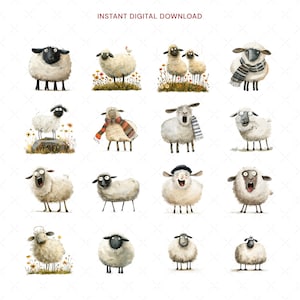 Funny Sheep Clipart, Cute Watercolor Quirky Farm Animal, PNG Digital ...