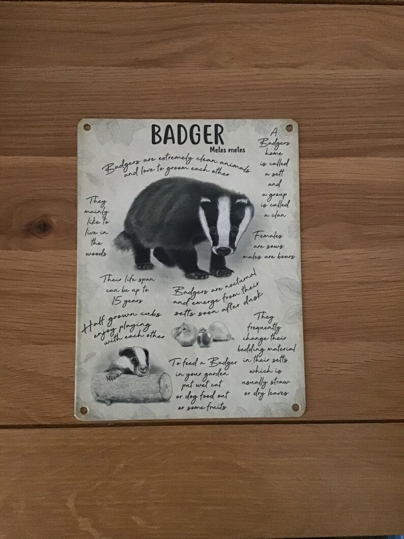 Badger Metal Wall Hanging Sign - Etsy
