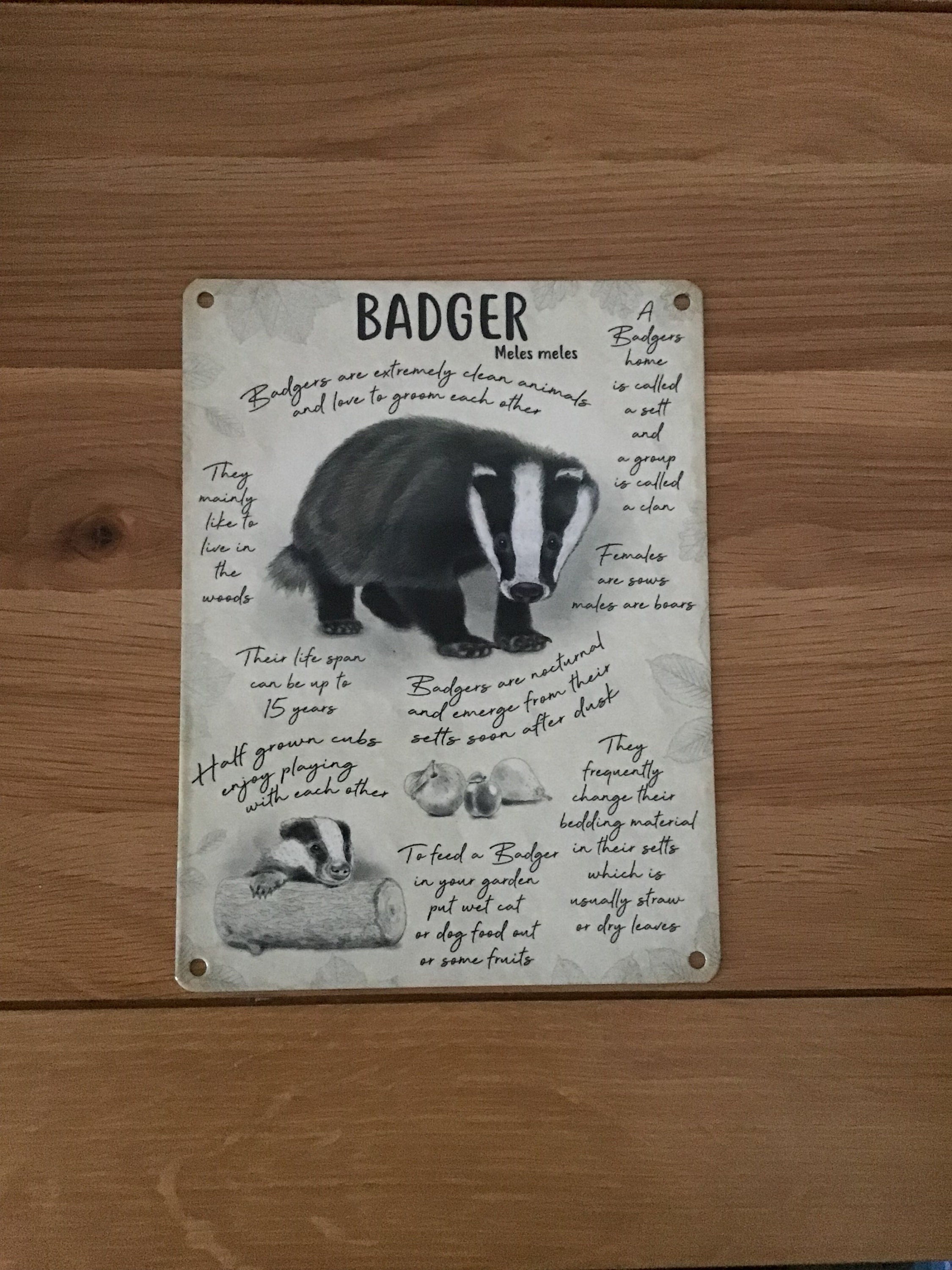 Badger Metal Wall Hanging Sign - Etsy