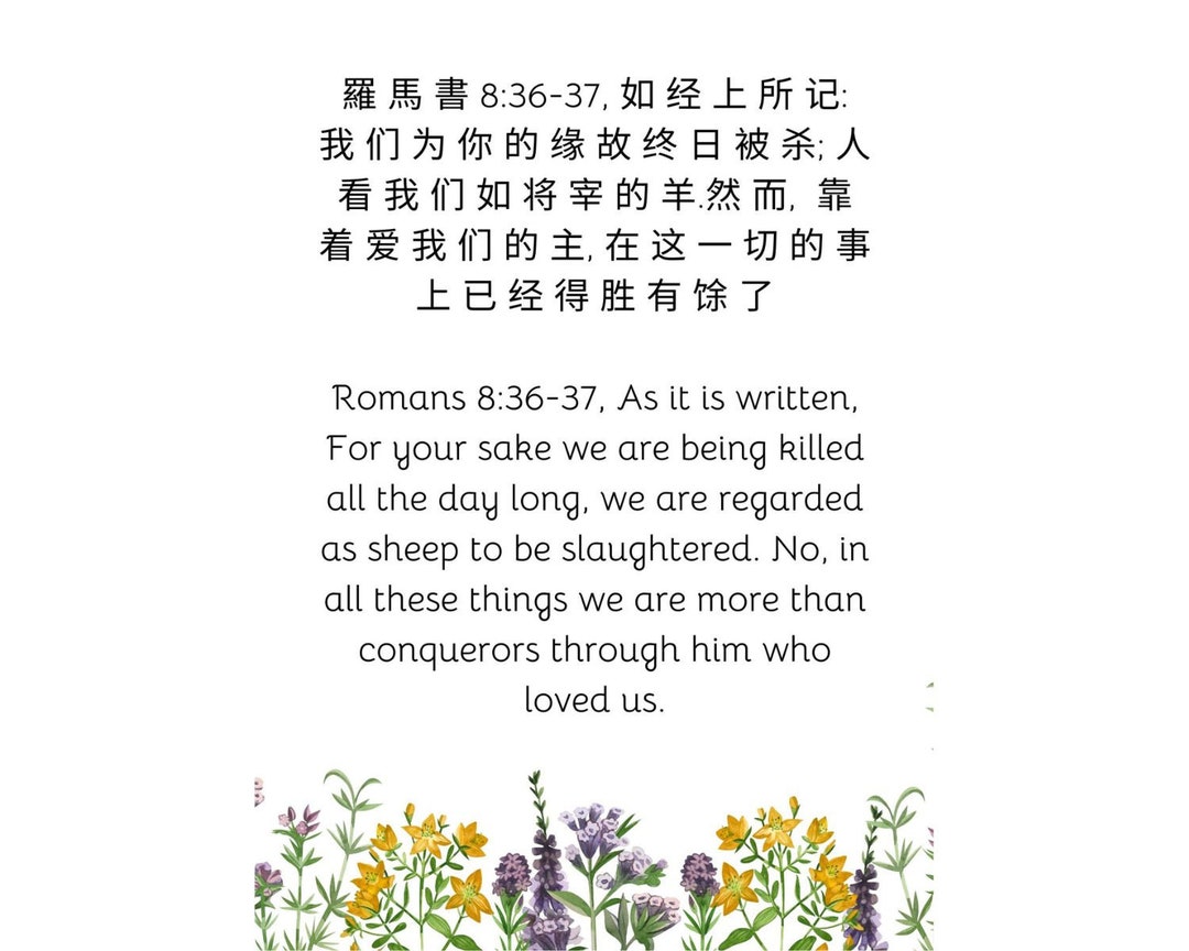 Chinese-english-romans 8:36-37-quality Matte Paper Poster-gifts for ...