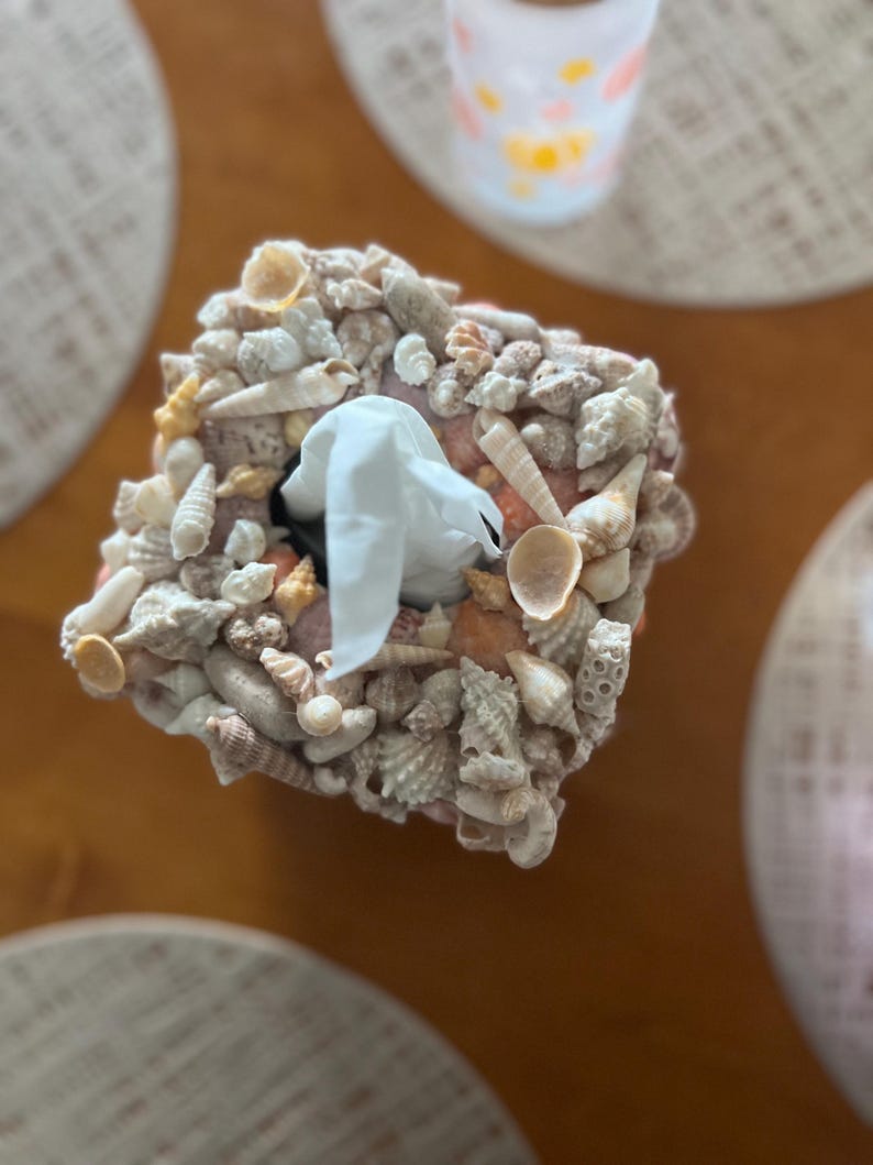 Sea Shell Tissue Box - Etsy