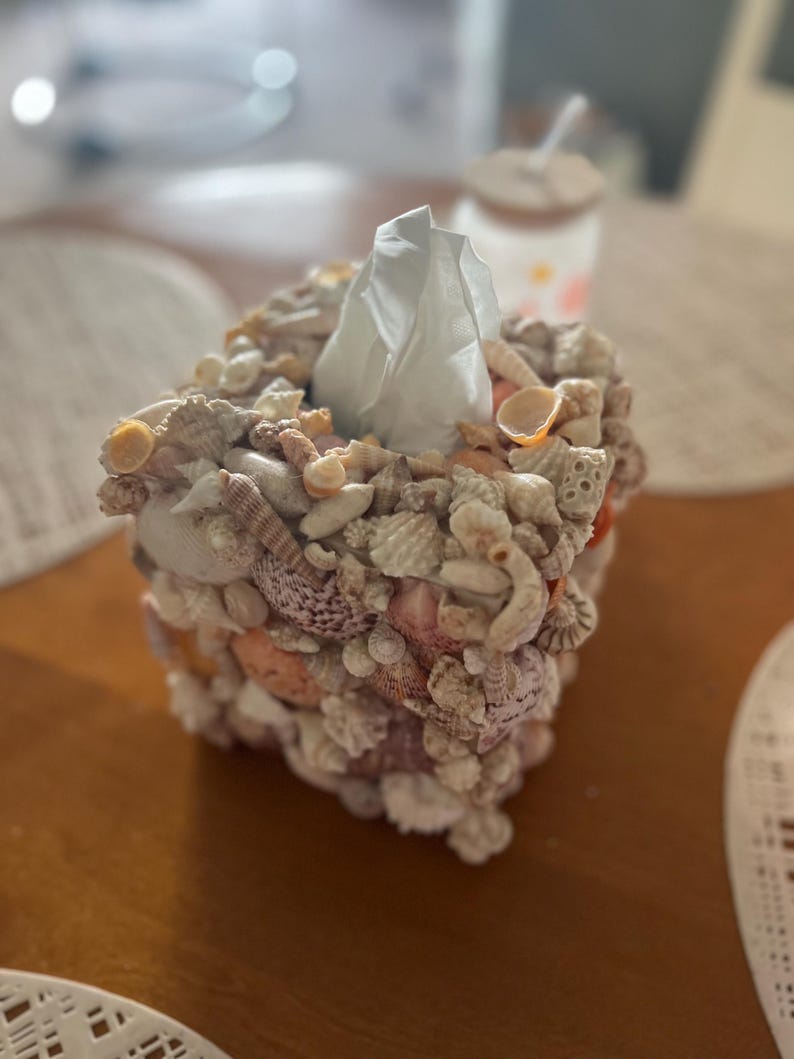 Sea Shell Tissue Box - Etsy