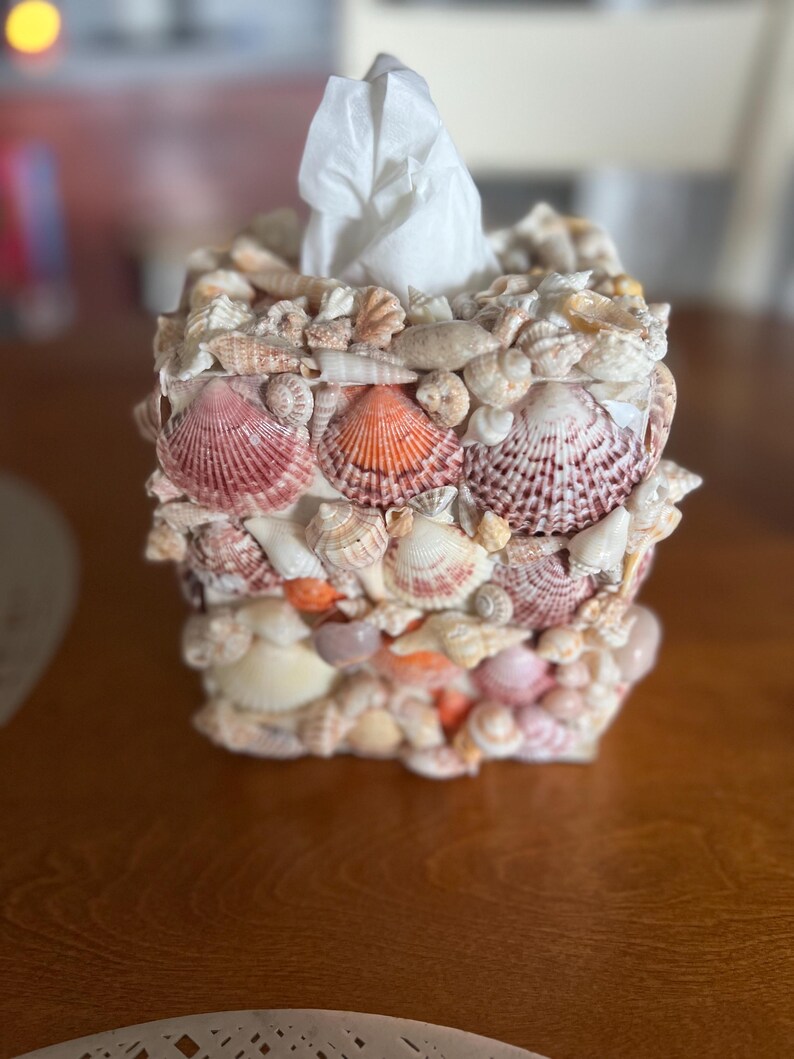 Sea Shell Tissue Box - Etsy