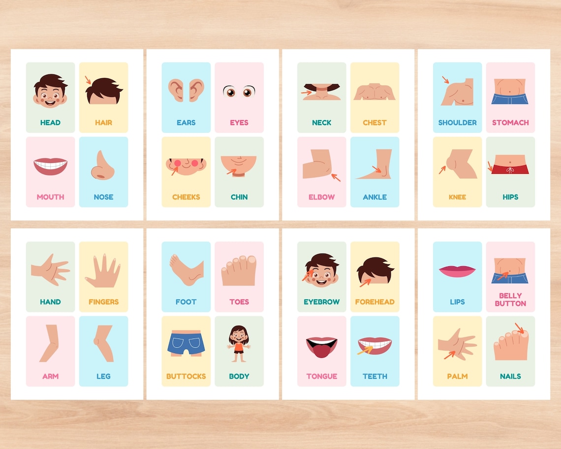 32 tarjetas didácticas de partes del cuerpo, tarjetas didácticas ...