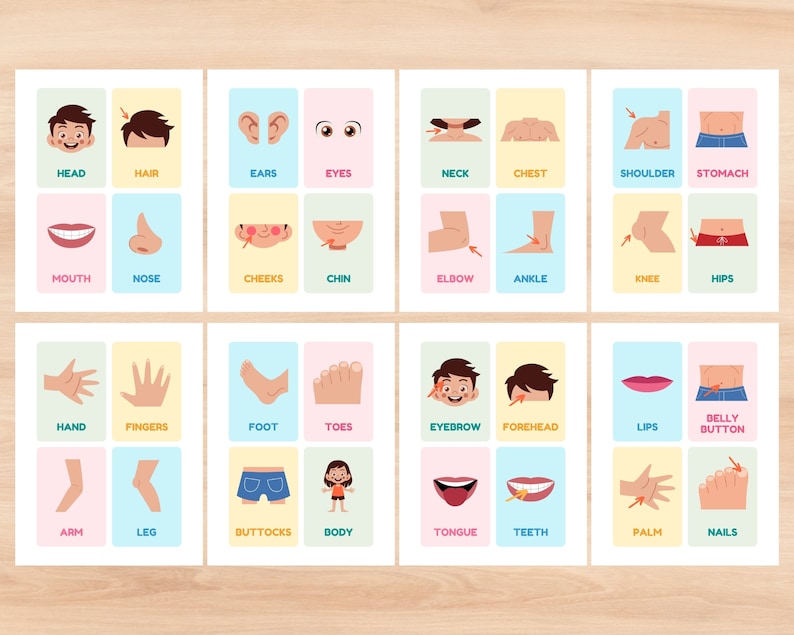 32 Body Parts Flashcards, Printable Montessori Flash Cards,pre-school ...