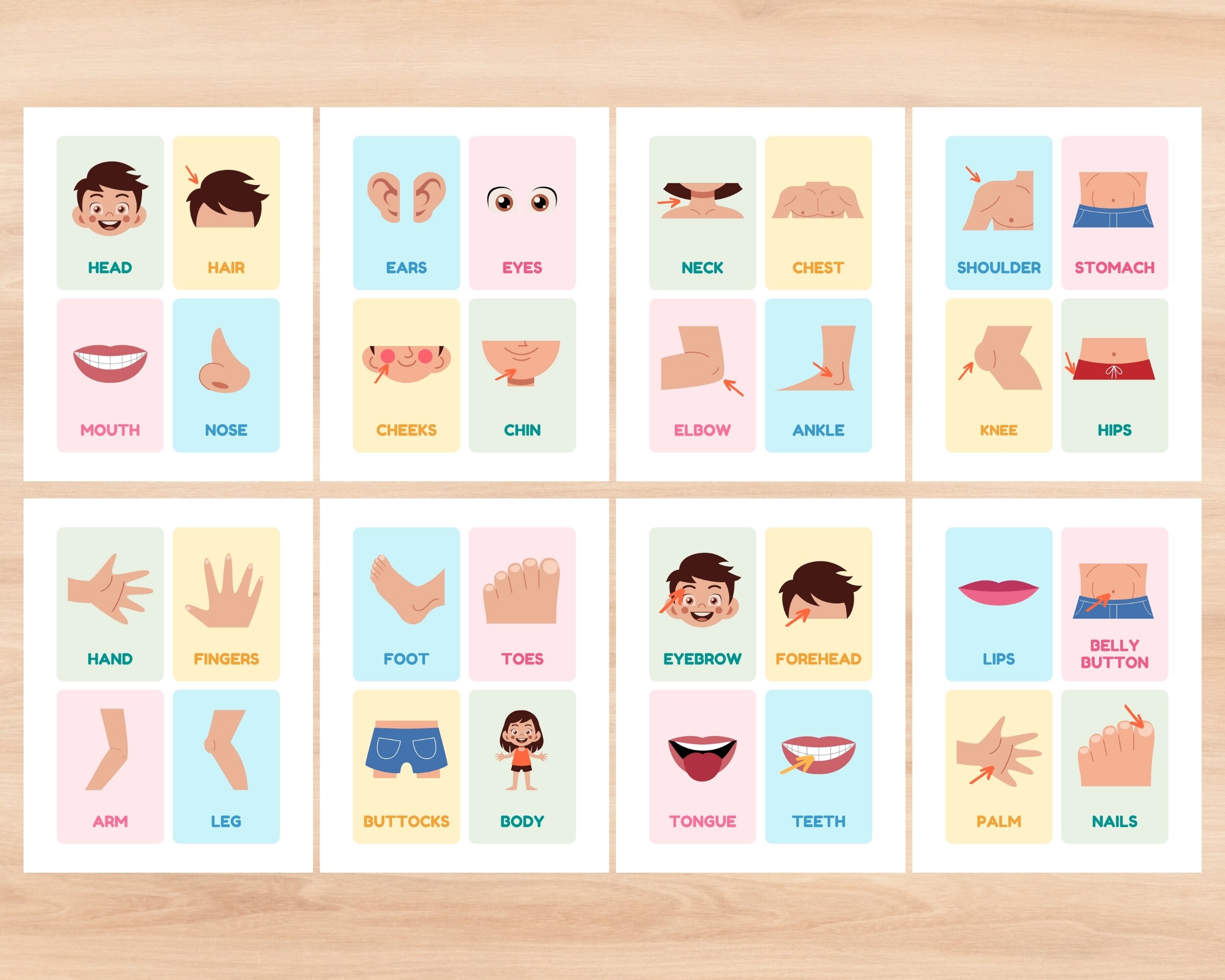 32 Body Parts Flashcards, Printable Montessori Flash Cards,pre-school ...