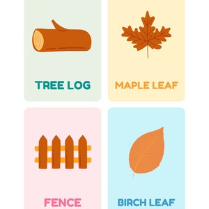 28 Autumn Flashcards, Fall Vocabulary Nature Cards, Printable ...