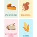 28 Autumn Flashcards, Fall Vocabulary Nature Cards, Printable ...