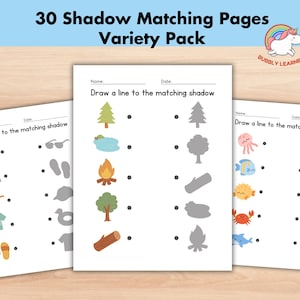 Shadow Matching Worksheets, Match the Picture, Kindergarten Preschool ...