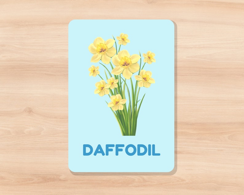32 Flowers Flashcards, Flower Vocabulary Nature Cards, Printable ...
