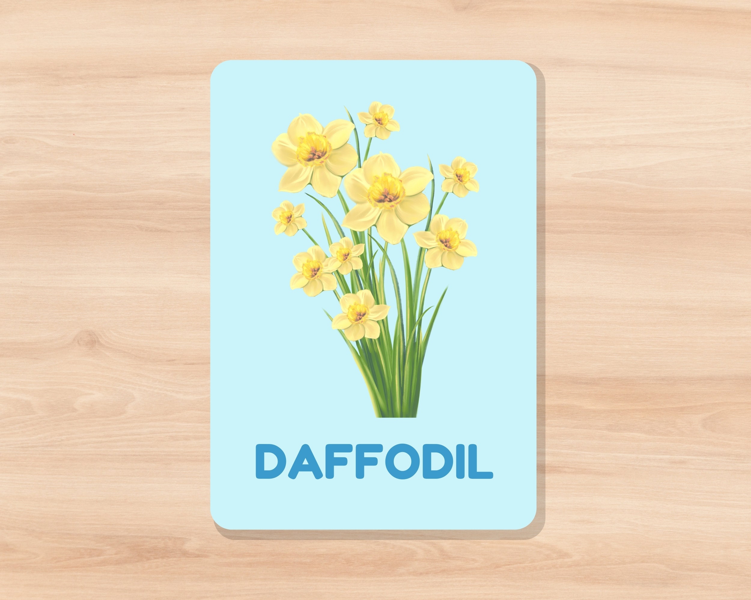 32 Flowers Flashcards, Flower Vocabulary Nature Cards,printable ...