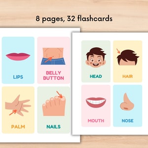 32 Body Parts Flashcards, Printable Montessori Flash Cards,pre-school ...