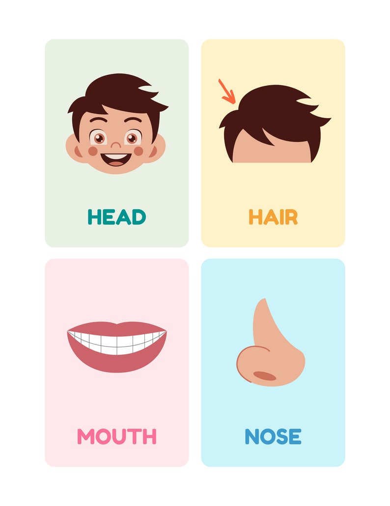 32 Body Parts Flashcards, Printable Montessori Flash Cards,pre-school ...
