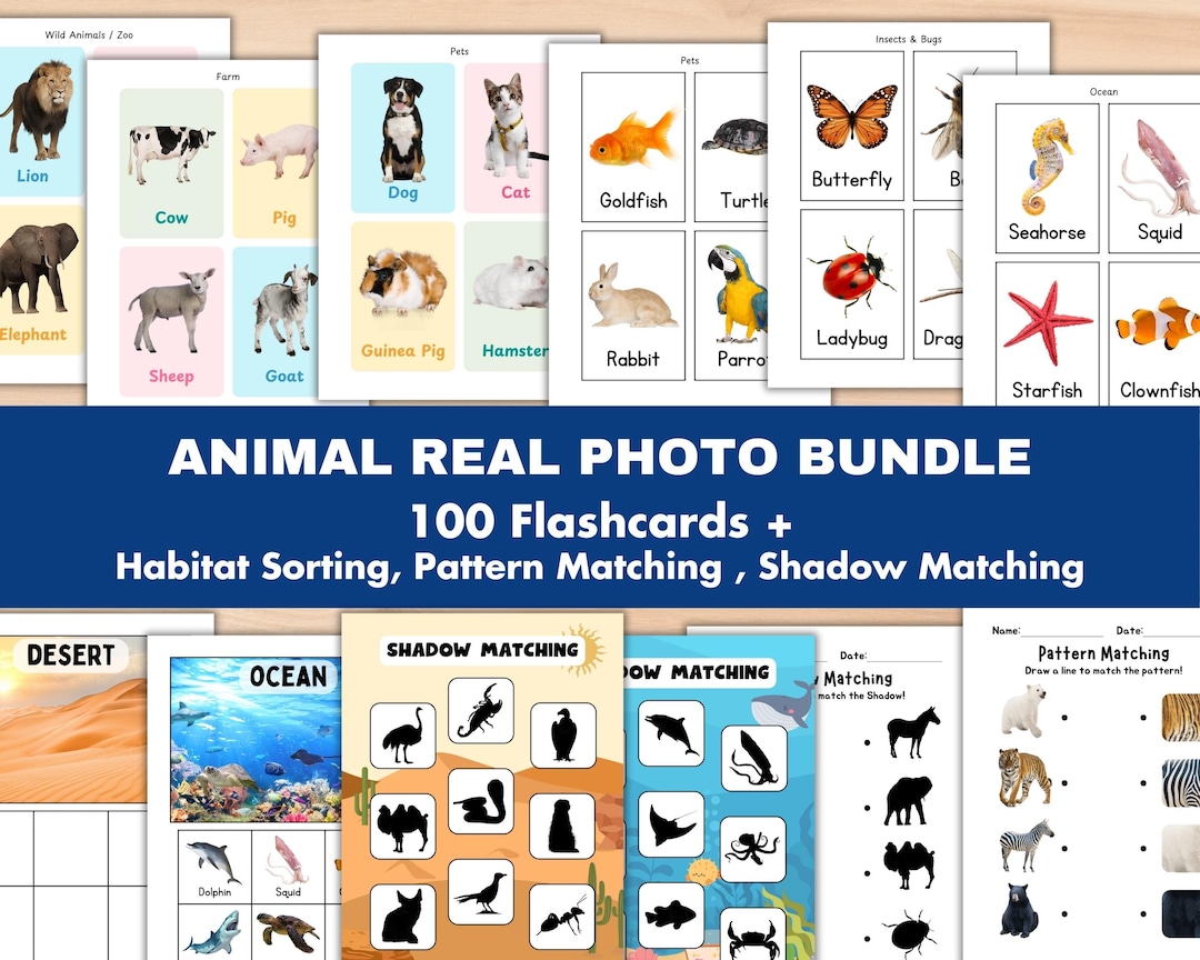 Real Photo Animals Flashcard Set, Printable Educational Cards for Kids ...