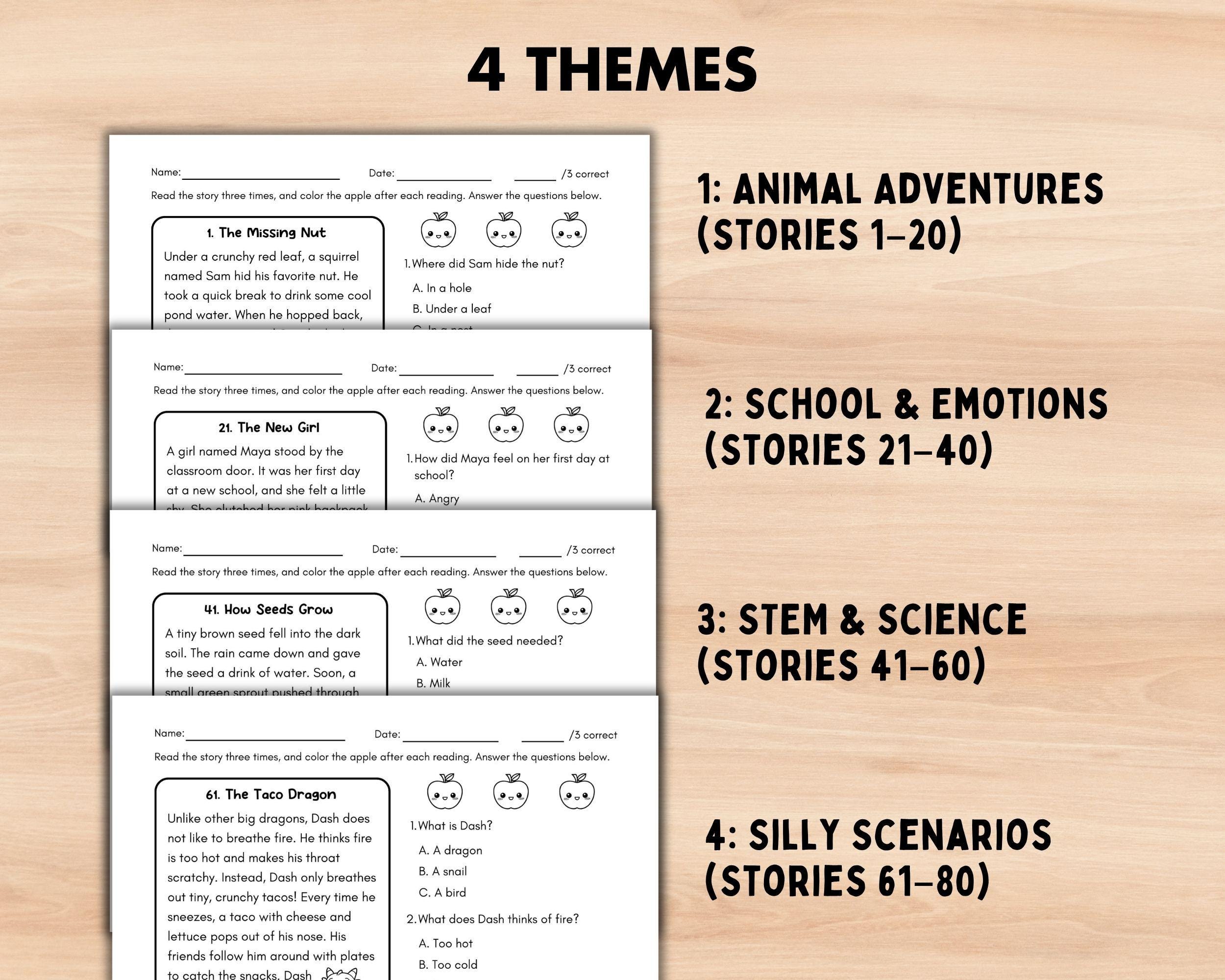 1st Grade Reading Comprehension Worksheet Bundle 80 Page Printable PDF ...