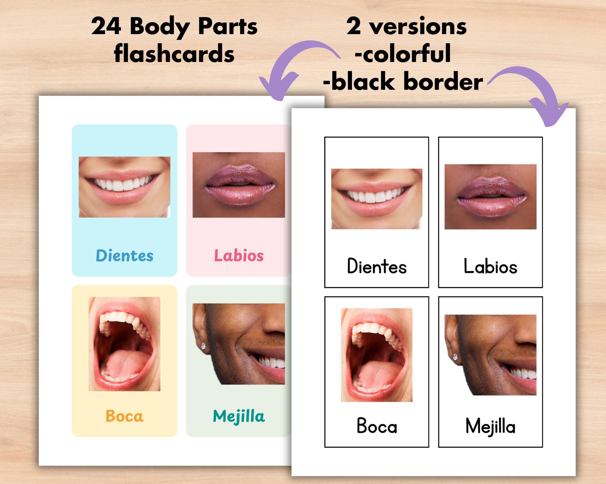 Spanish Body Parts Flashcards With Real Photos for Kids Learning ...