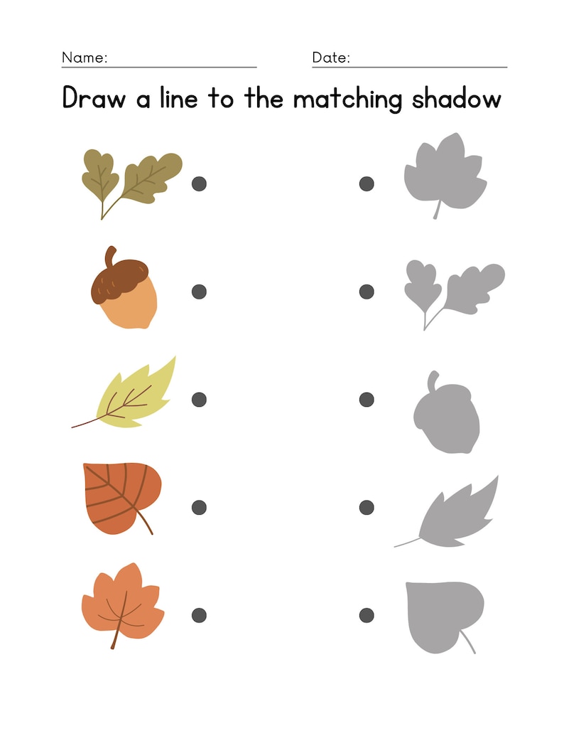 Shadow Matching Worksheets, Match the Picture, Kindergarten Preschool ...