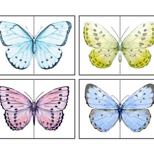 40 Butterfly Matching Card Game, Symmetry Puzzle, Butterfly Pattern ...