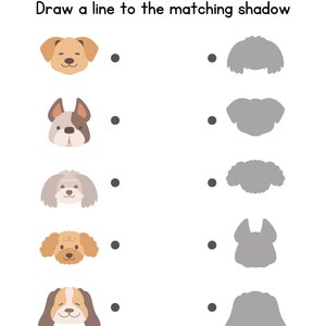Shadow Matching Worksheets, Match the Picture, Kindergarten Preschool ...