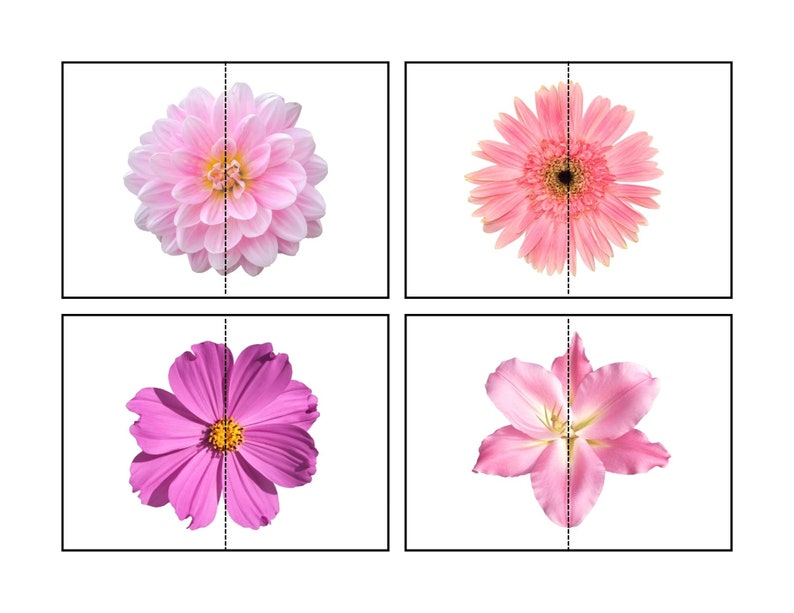 40 Real Flowers Matching Game for Kids, Symmetry Puzzle,match Picture ...