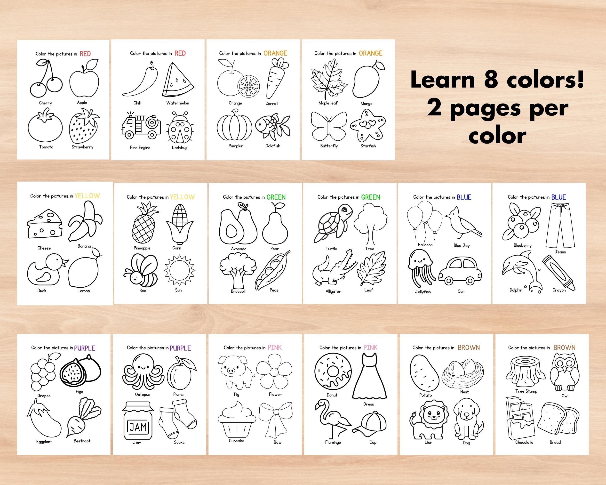 Preschool Color of the Week Worksheets, Printable Learning Colors ...
