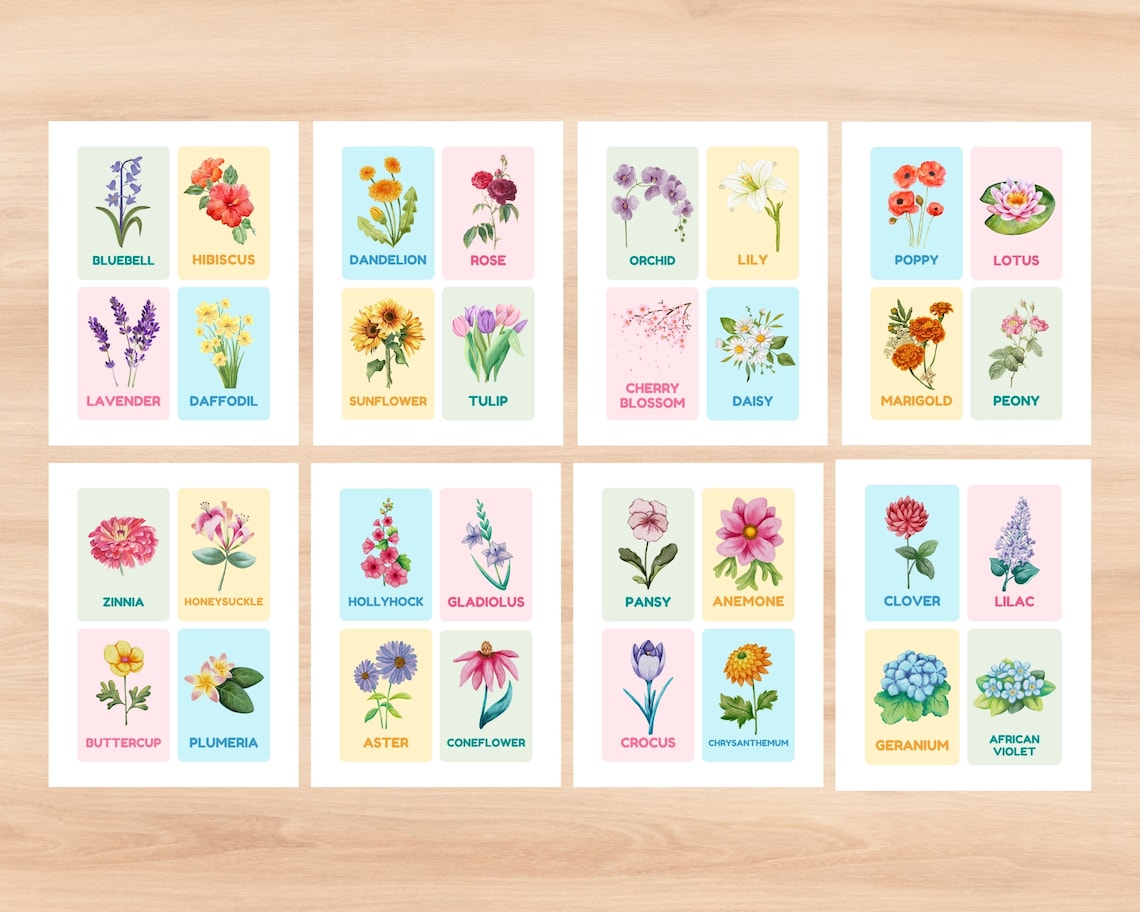 32 Flowers Flashcards, Flower Vocabulary Nature Cards,printable ...