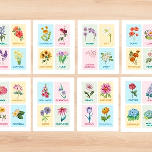 32 Flowers Flashcards, Flower Vocabulary Nature Cards,printable ...