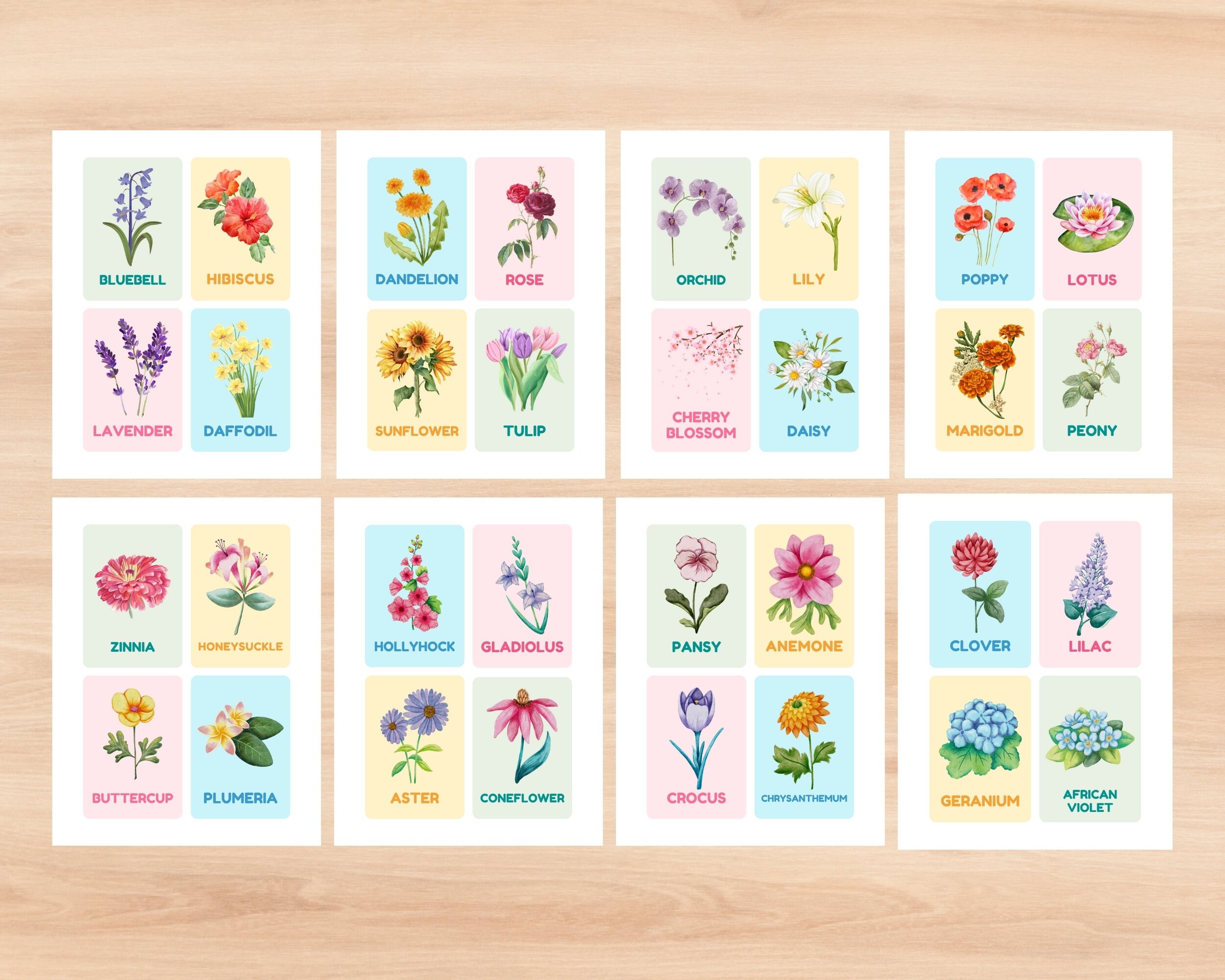 32 Flowers Flashcards, Flower Vocabulary Nature Cards,printable ...